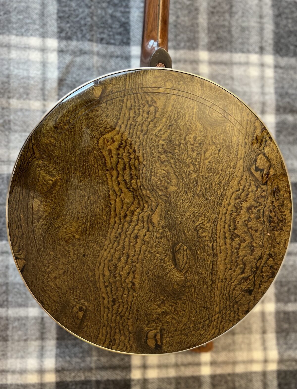 Leedy - Banjo Doctor